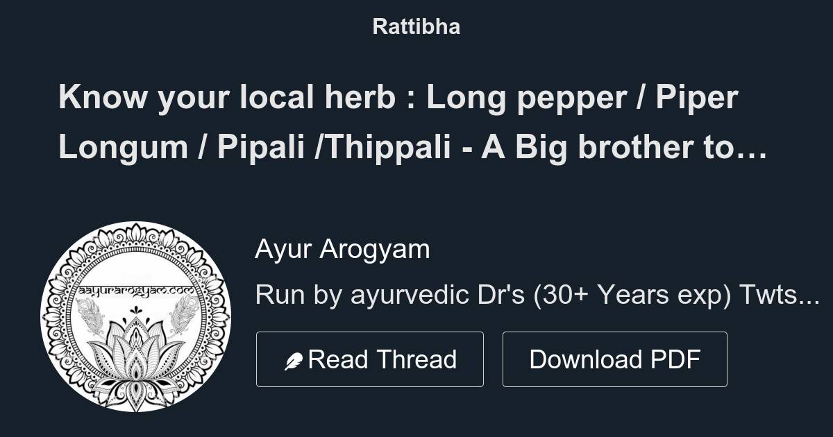 Know your local herb : Long pepper / Piper Longum / Pipali /Thippali ...