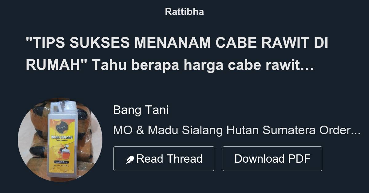 "TIPS SUKSES MENANAM CABE RAWIT DI RUMAH" Tahu berapa harga cabe rawit sekarang berapa? 150 ribu ...