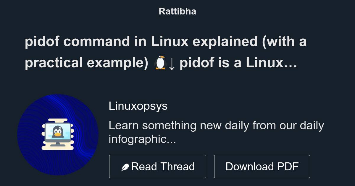 pidof command in Linux explained (with a practical example) 🐧↓ - Thread from Linuxopsys ...