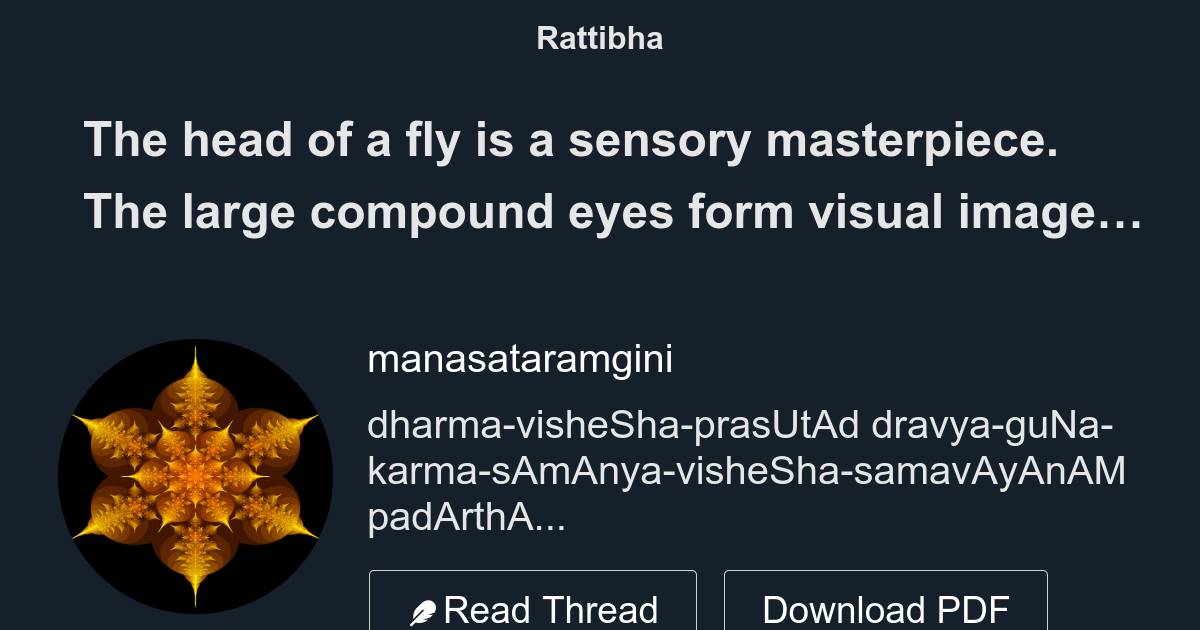 The head of a fly is a sensory masterpiece. The large compound eyes ...