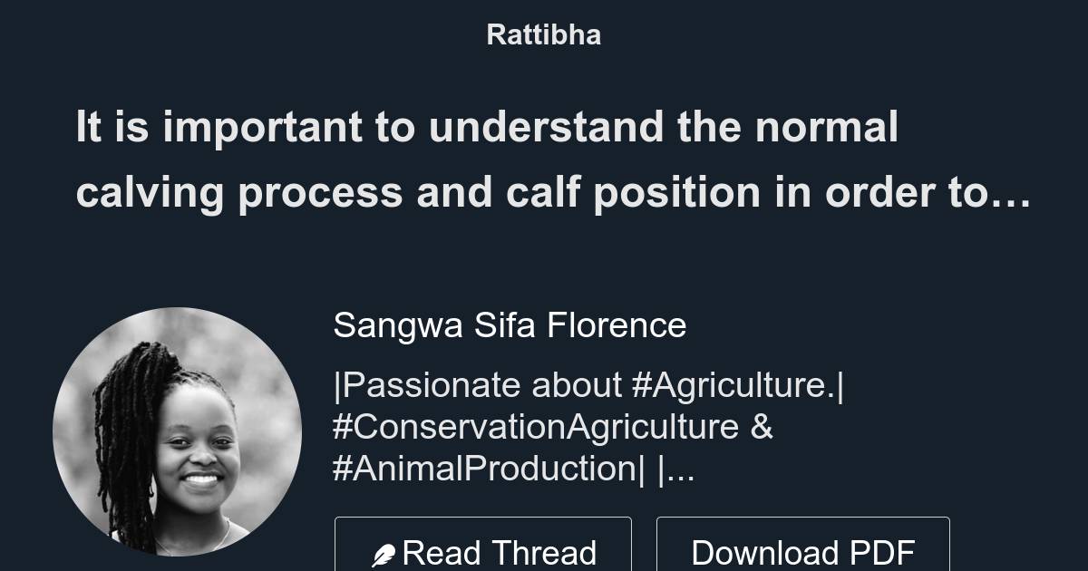 It is important to understand the normal calving process and calf ...