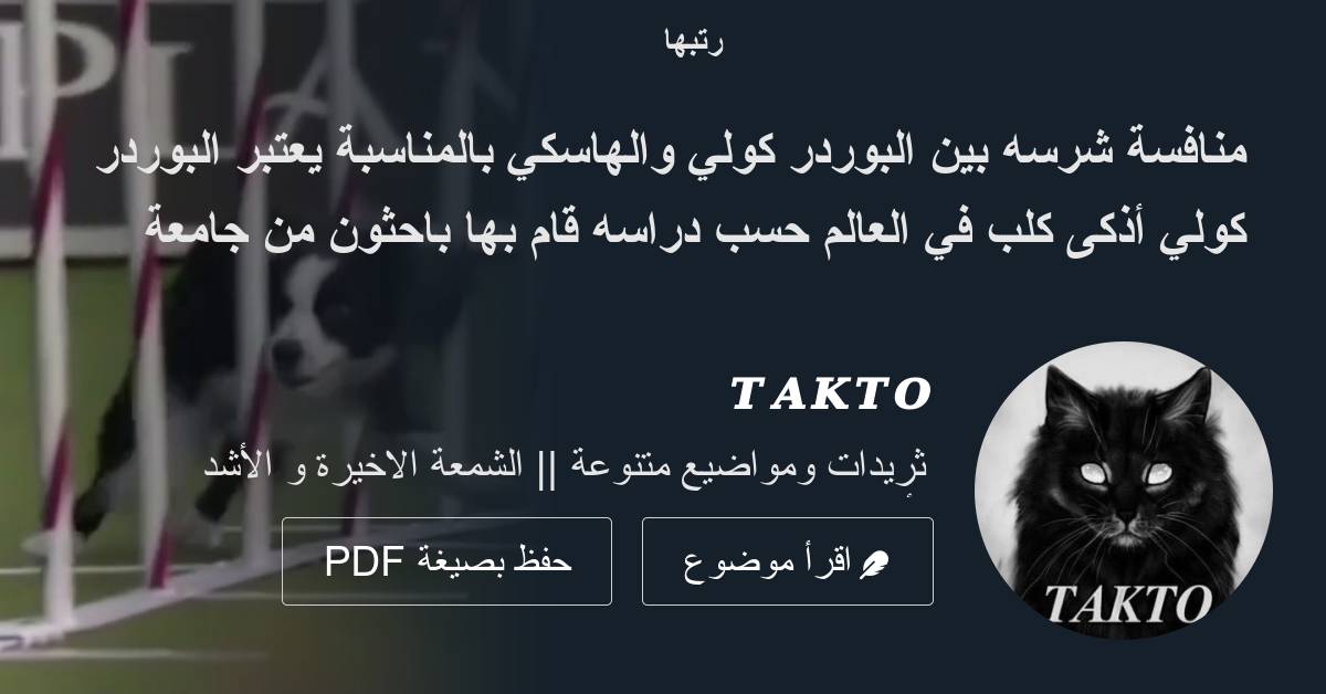 منافسة شرسه بين البوردر كولي والهاسكي - المسلسل من 𝑻𝑨𝑲𝑻𝑶 @Ne_zaha - رتبها