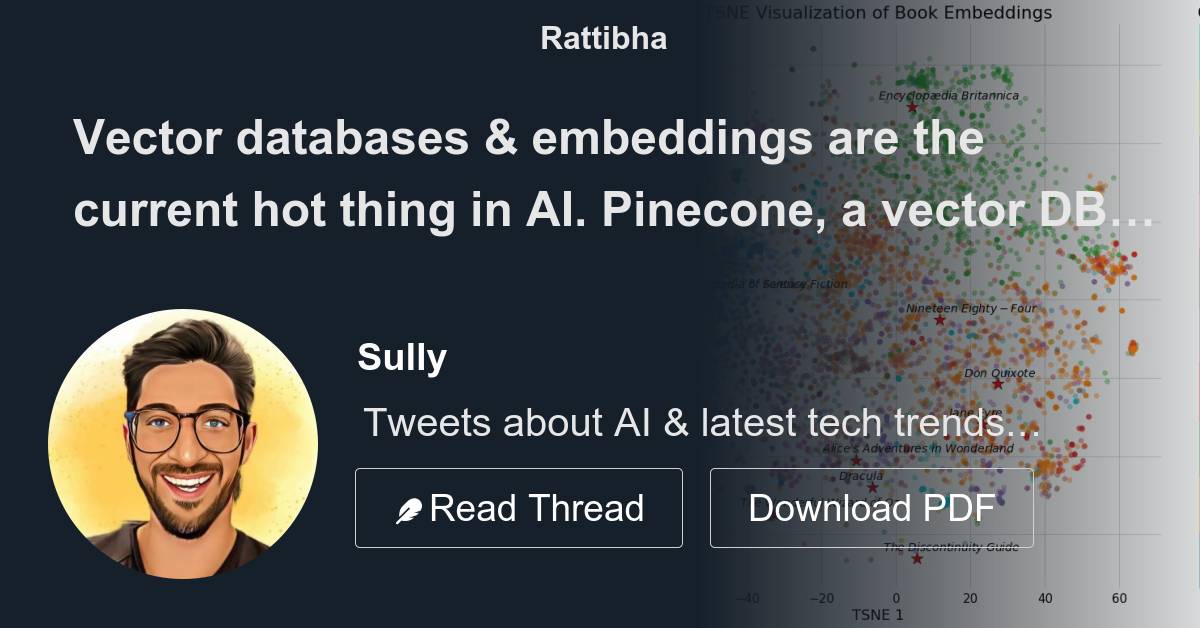 Vector databases & embeddings are the current hot thing in AI. Pinecone, a vector DB company ...