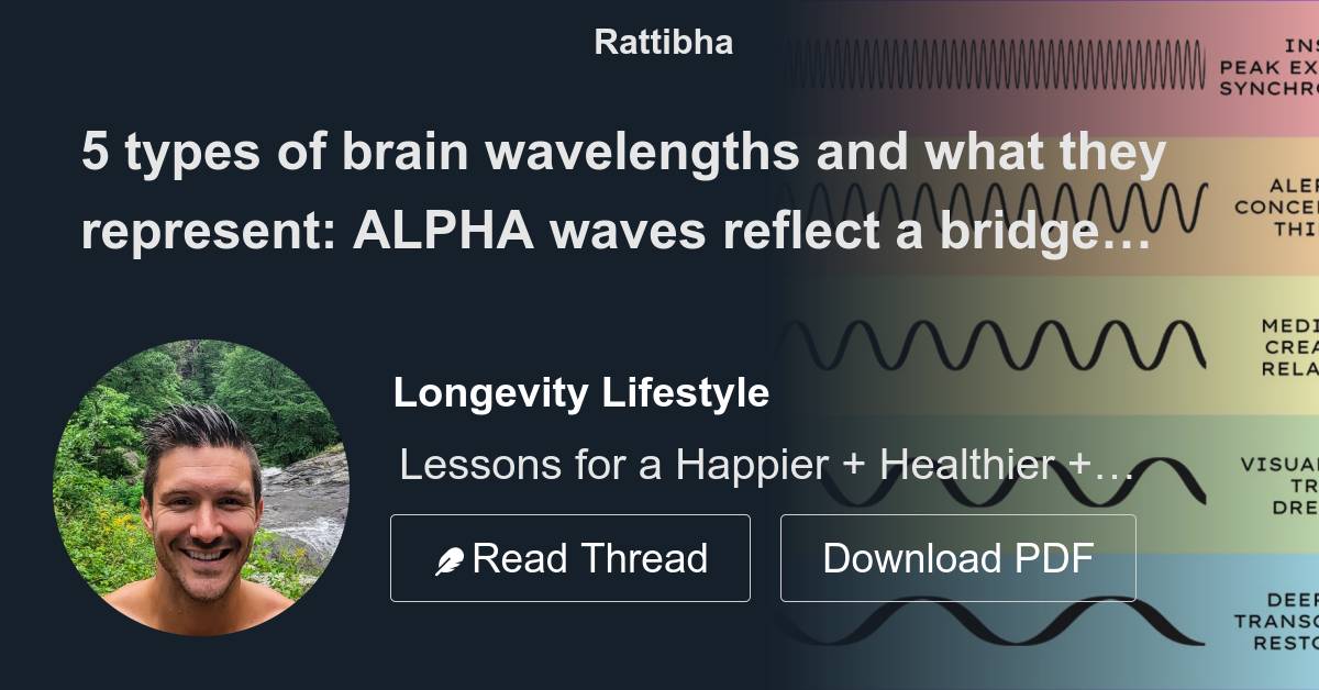 5 types of brain wavelengths and what they represent: - Thread from ...