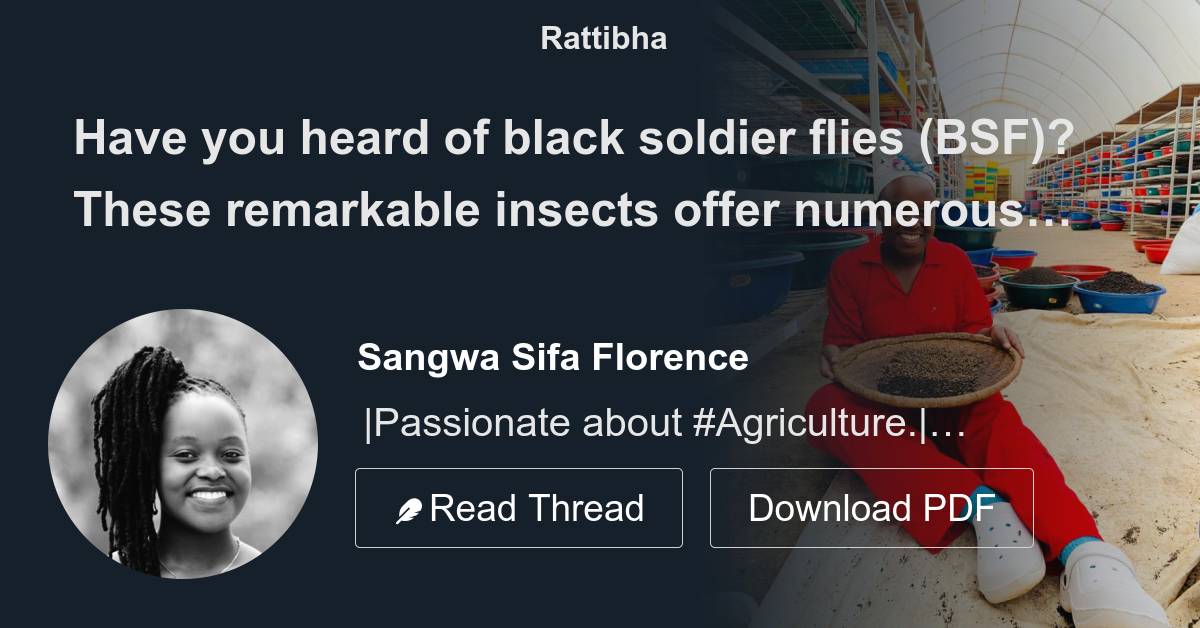 Have you heard of black soldier flies (BSF)? These remarkable insects ...
