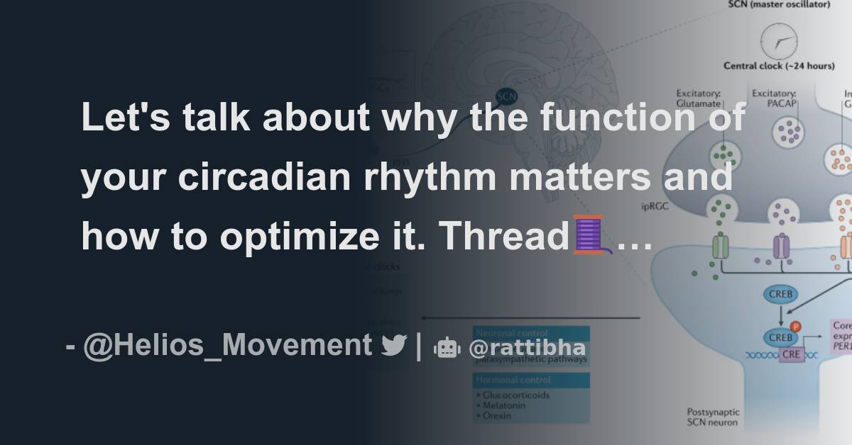 Let's talk about why the function of your circadian rhythm matters and how to optimize it ...