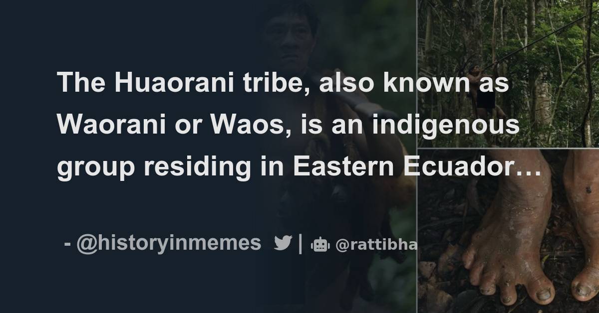 The Huaorani tribe, also known as Waorani or Waos, is an indigenous ...