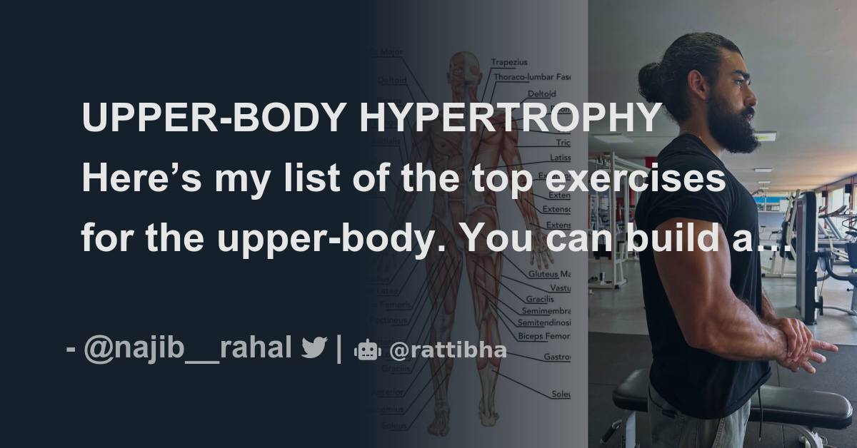 UPPER-BODY HYPERTROPHY Here’s my list of the top exercises for the ...