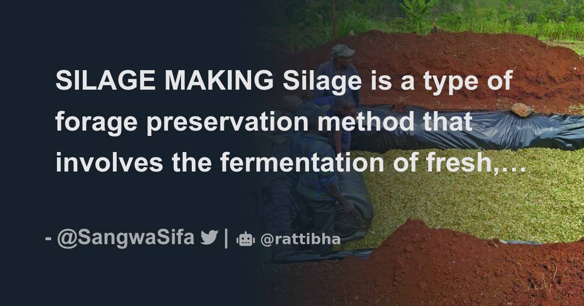 SILAGE MAKING Silage is a type of forage preservation method that ...