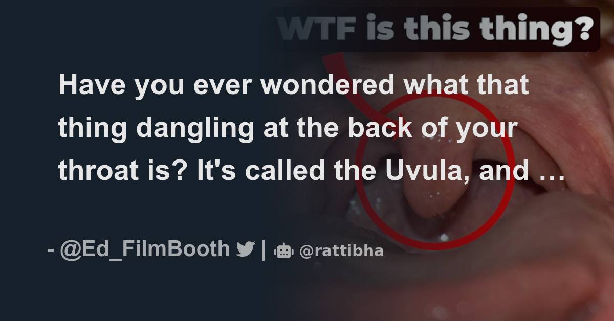 Have you ever wondered what that thing dangling at the back of your ...