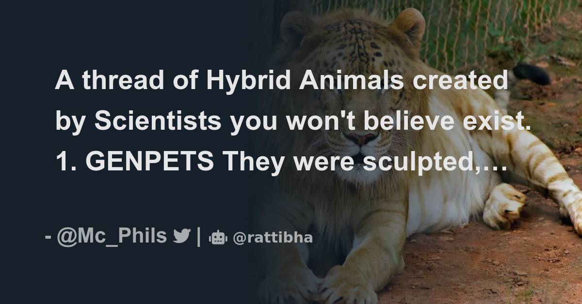 A thread of Hybrid Animals created by Scientists you won't believe ...