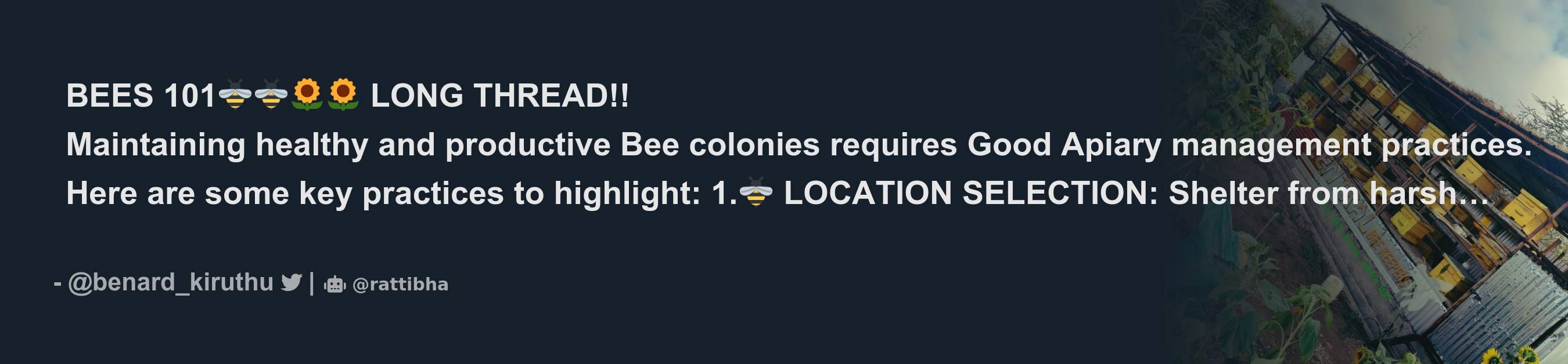 BEES 101🐝🐝🌻🌻 LONG THREAD!! Maintaining healthy and productive Bee ...