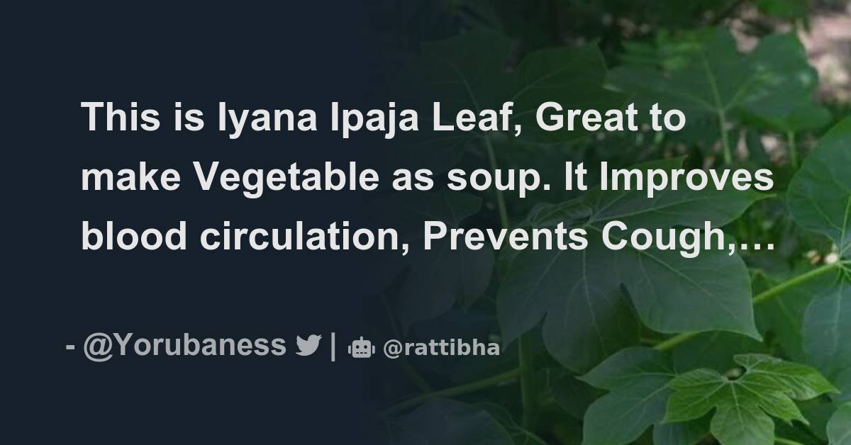 This is Iyana Ipaja Leaf, Great to make Vegetable as soup. It Improves ...