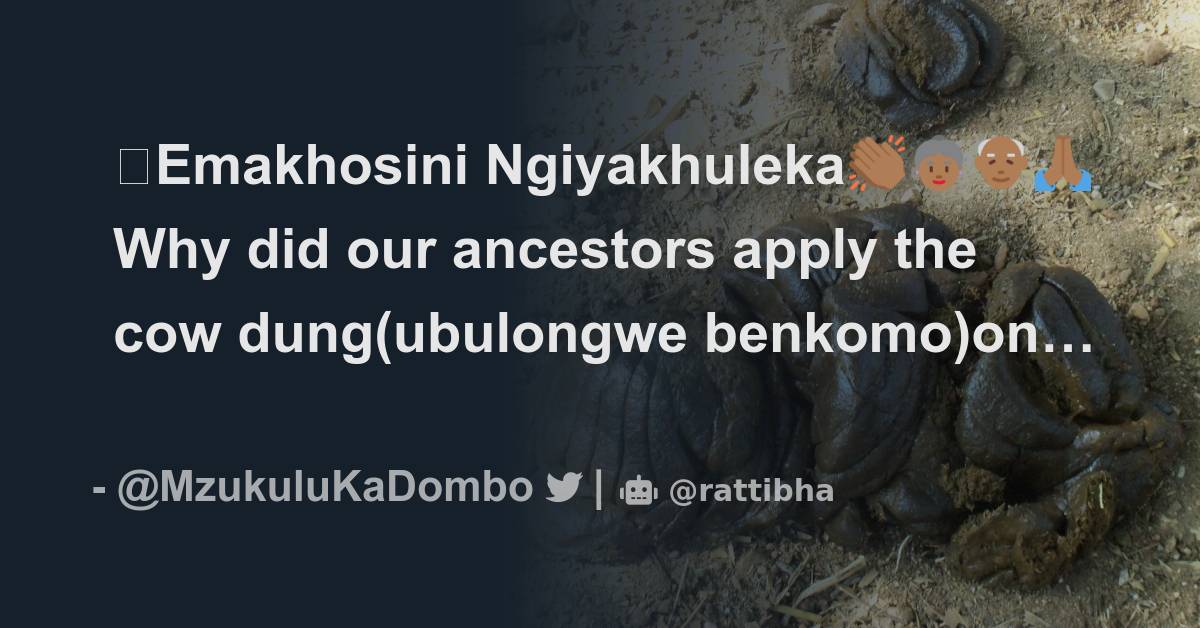 🛖Emakhosini Ngiyakhuleka👏🏾👵🏾👴🏾🙏🏾Why did our ancestors apply the cow ...