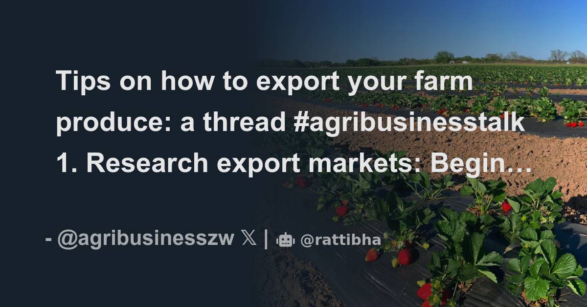Tips on how to export your farm produce: a thread #agribusinesstalk ...