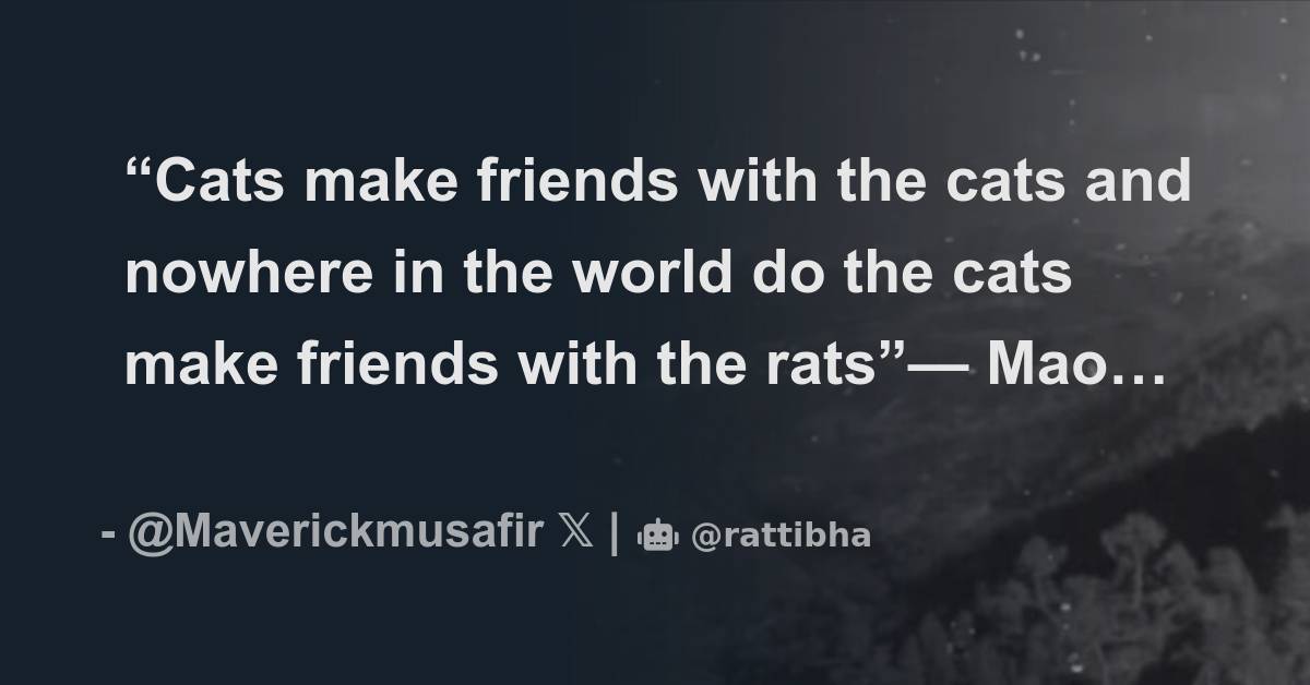 “Cats make friends with the cats and nowhere in the world do the cats ...