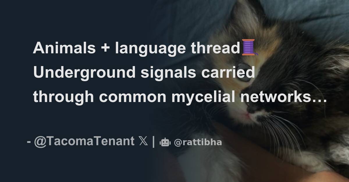 Animals + language thread🧵 - Thread from ᨒAʅҽxαɳԃɾιαᨒ she/they ...
