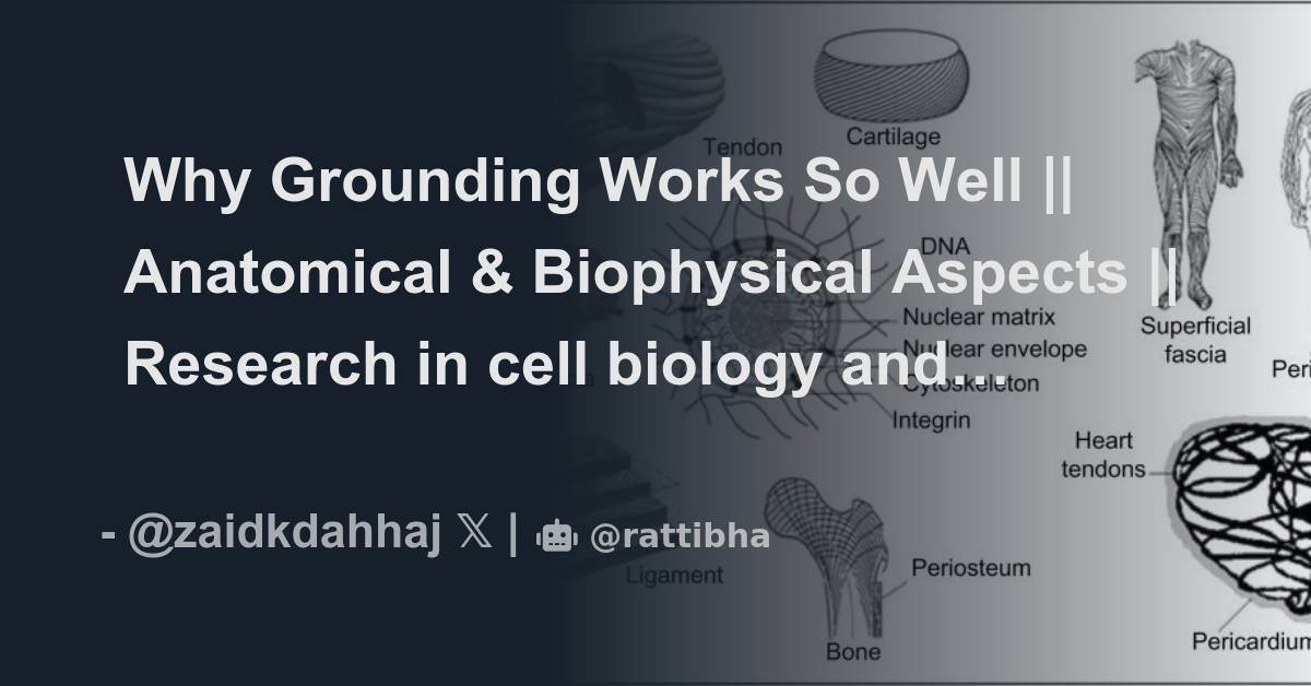 Why Grounding Works So Well || Anatomical & Biophysical Aspects ...
