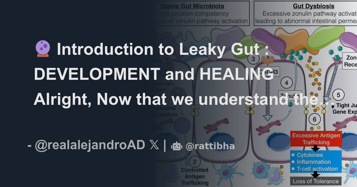🔮 Introduction to Leaky Gut : DEVELOPMENT and HEALING Alright, Now that we understand the ...