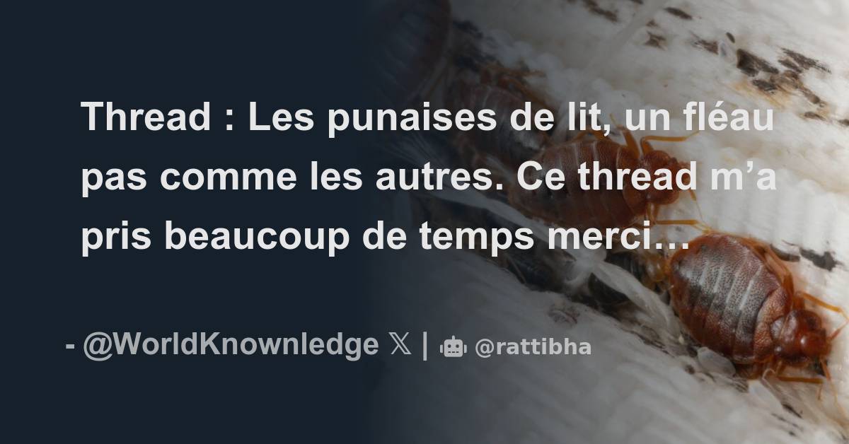 Threаd : Les punaises de lit, un fléau pas comme les autres. Ce threаd ...