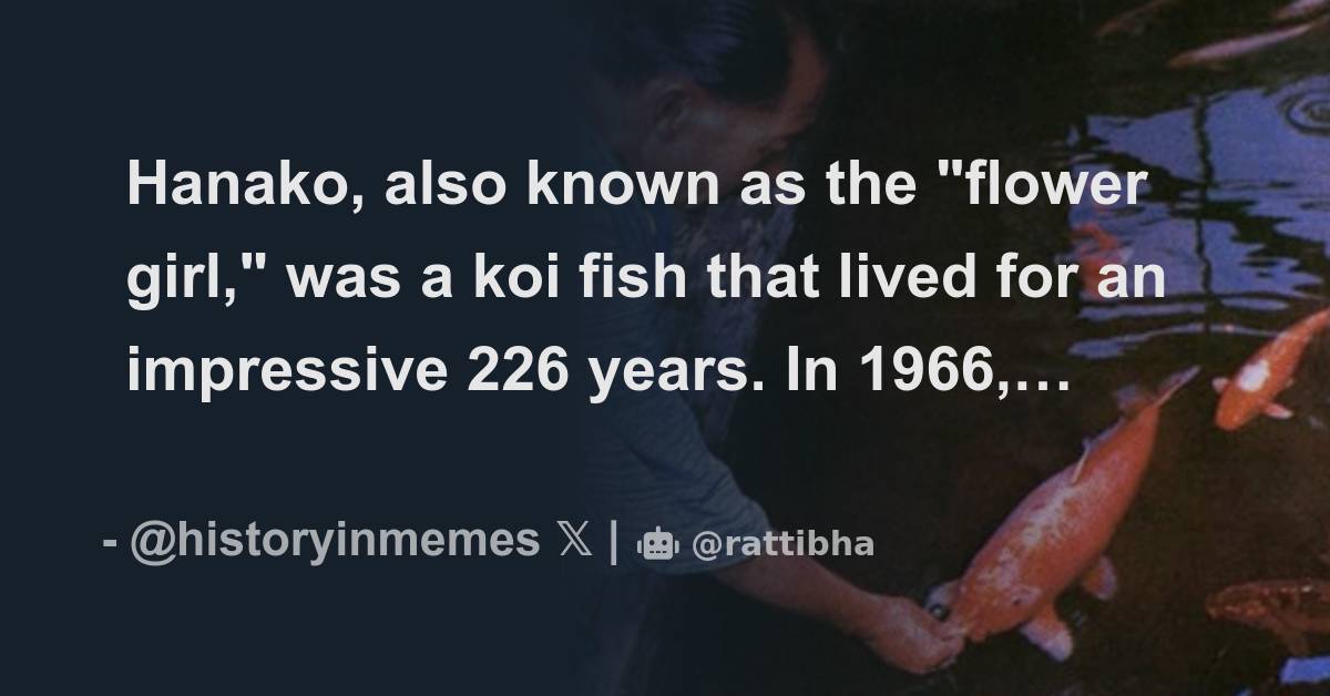 Hanako, also known as the "flower girl," was a koi fish that lived for ...