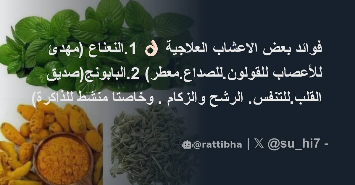 فوائد بعض الاعشاب العلاجية 👌🏻 1النعناع مهدئ للأعصاب للقولونللصداعمعطر 2البابونجصديق القلب