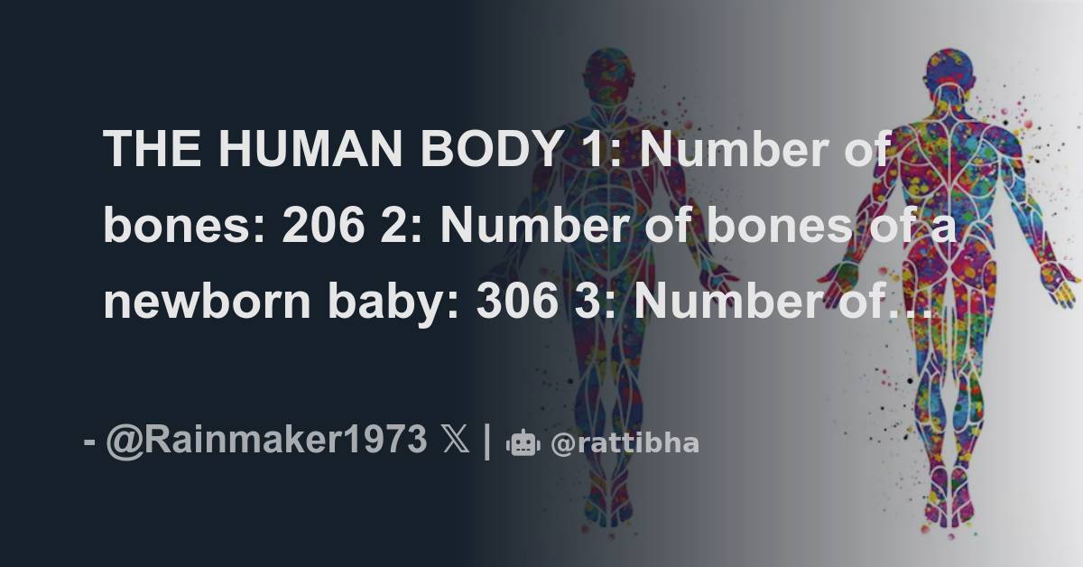 THE HUMAN BODY 1: Number of bones: 206 2: Number of bones of a newborn ...