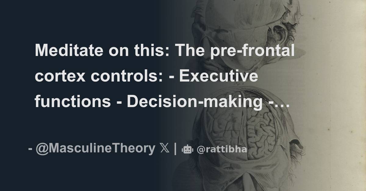 Meditate on this: The pre-frontal cortex controls: - Executive ...