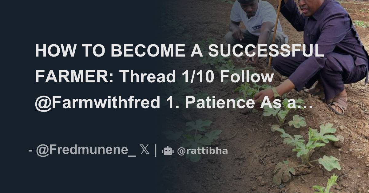 HOW TO BECOME A SUCCESSFUL FARMER: Thread 1/10 Follow @Farmwithfred ...