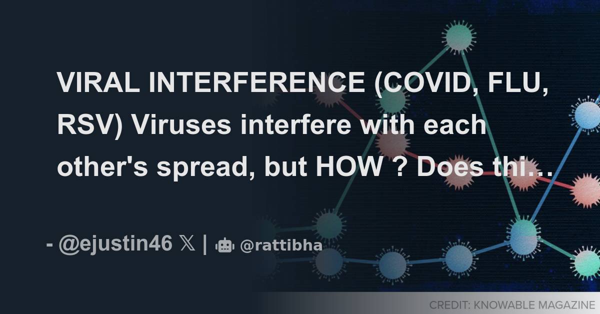 VIRAL INTERFERENCE (COVID, FLU, RSV) Viruses interfere with each other ...