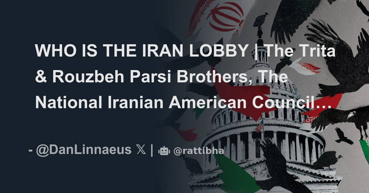 WHO IS THE IRAN LOBBY | The Trita & Rouzbeh Parsi Brothers, The ...