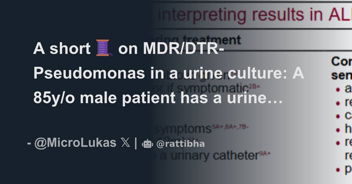 A short 🧵 on MDR/DTR-Pseudomonas in a urine culture: A 85y/o male patient has a urine culture ...