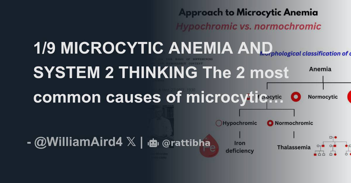 1/9 MICROCYTIC ANEMIA AND SYSTEM 2 THINKING The 2 most common causes of ...