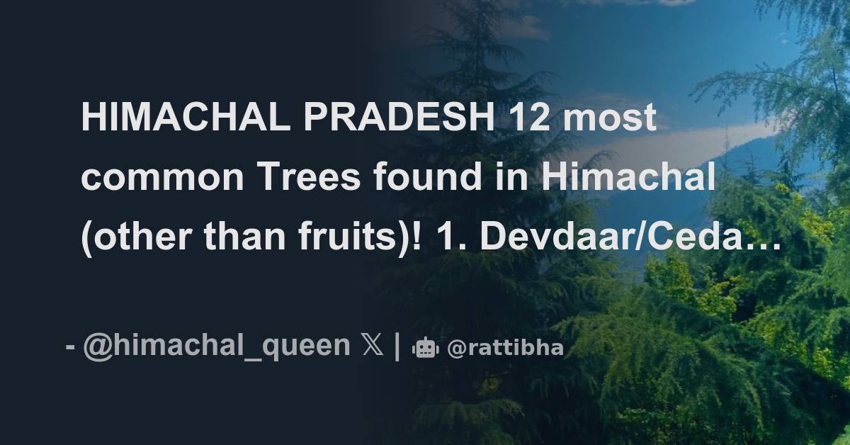HIMACHAL PRADESH 12 most common Trees found in Himachal (other than ...