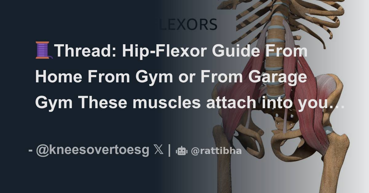 🧵Thread: Hip-Flexor Guide From Home From Gym or From Garage Gym These ...