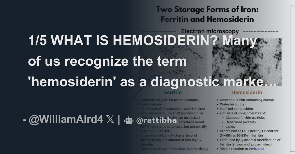1-5-what-is-hemosiderin-many-of-us-recognize-the-term-hemosiderin-as
