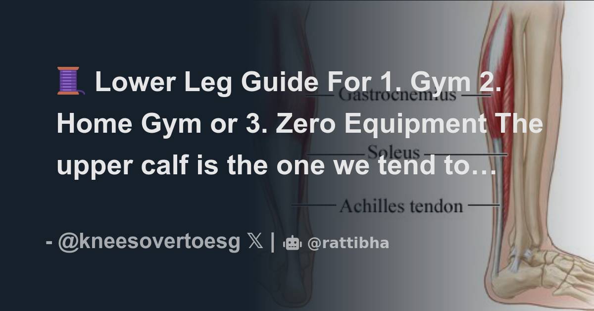 🧵 Lower Leg Guide For 1. Gym 2. Home Gym or 3. Zero Equipment - Thread ...