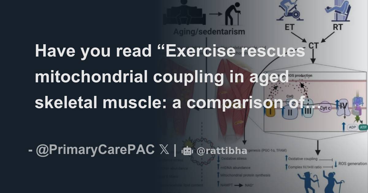 Have you read “Exercise rescues mitochondrial coupling in aged skeletal ...