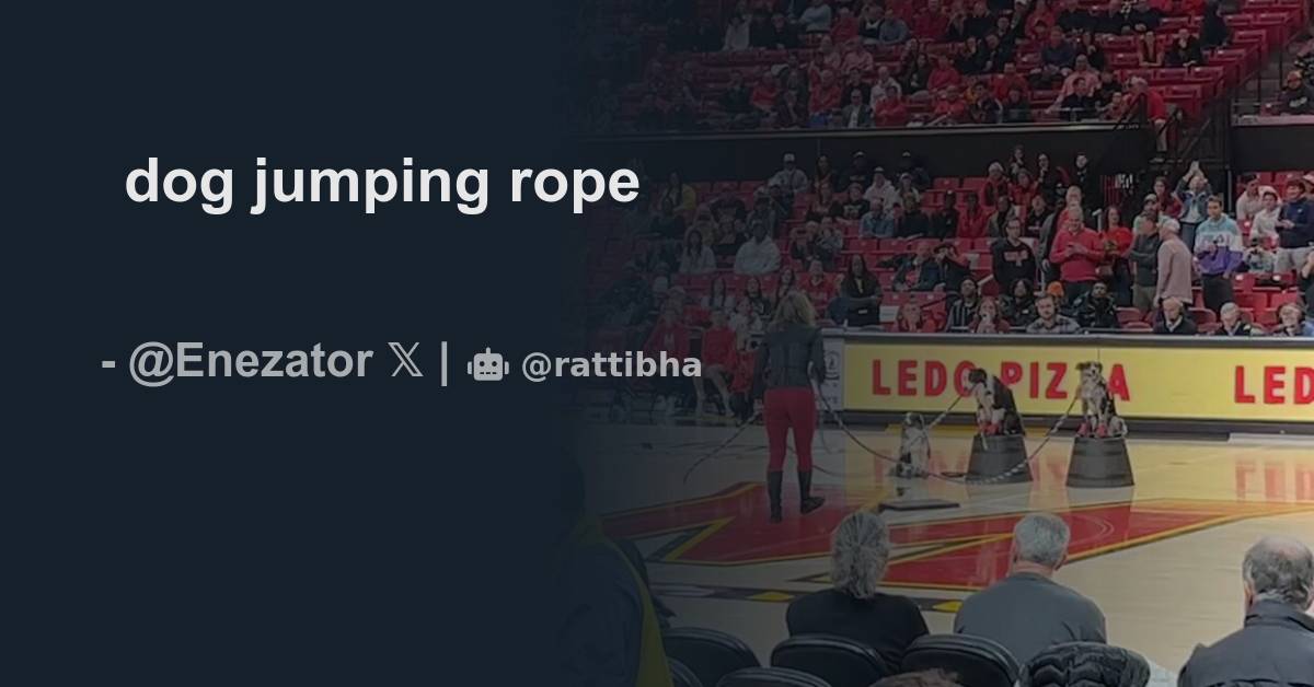dog jumping rope - Thread from Enezator @Enezator - Rattibha