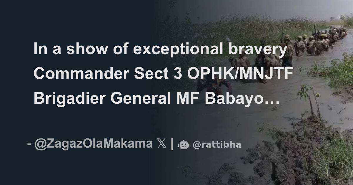 In a show of exceptional bravery Commander Sect 3 OPHK/MNJTF Brigadier ...