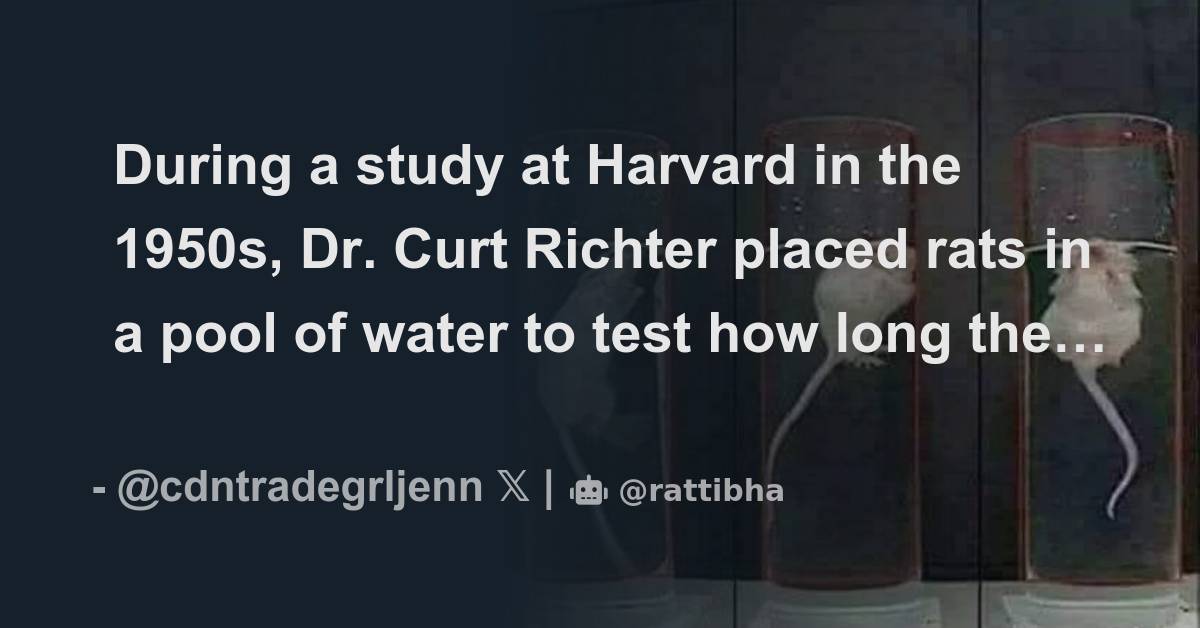 During a study at Harvard in the 1950s, Dr. Curt Richter placed rats in ...