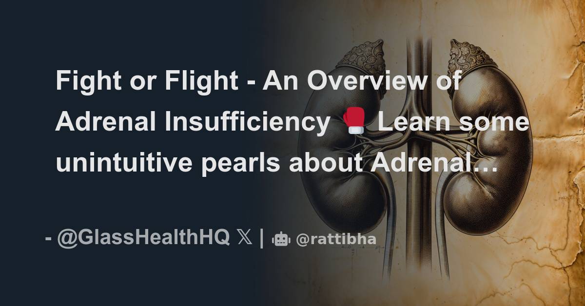 Fight or Flight - An Overview of Adrenal Insufficiency 🥊 Learn some ...