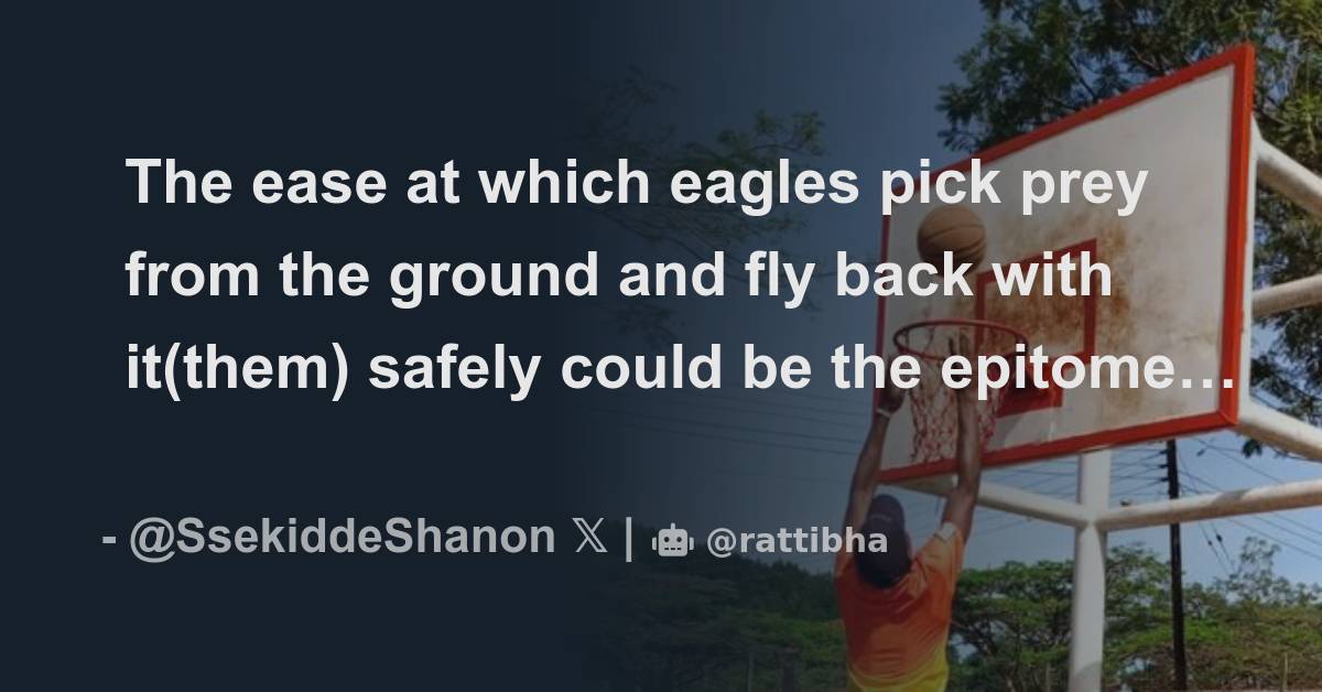 The ease at which eagles pick prey from the ground and fly back with it ...