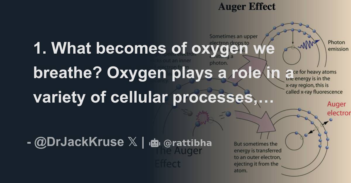 1. What becomes of oxygen we breathe? Oxygen plays a role in a variety of cellular processes ...