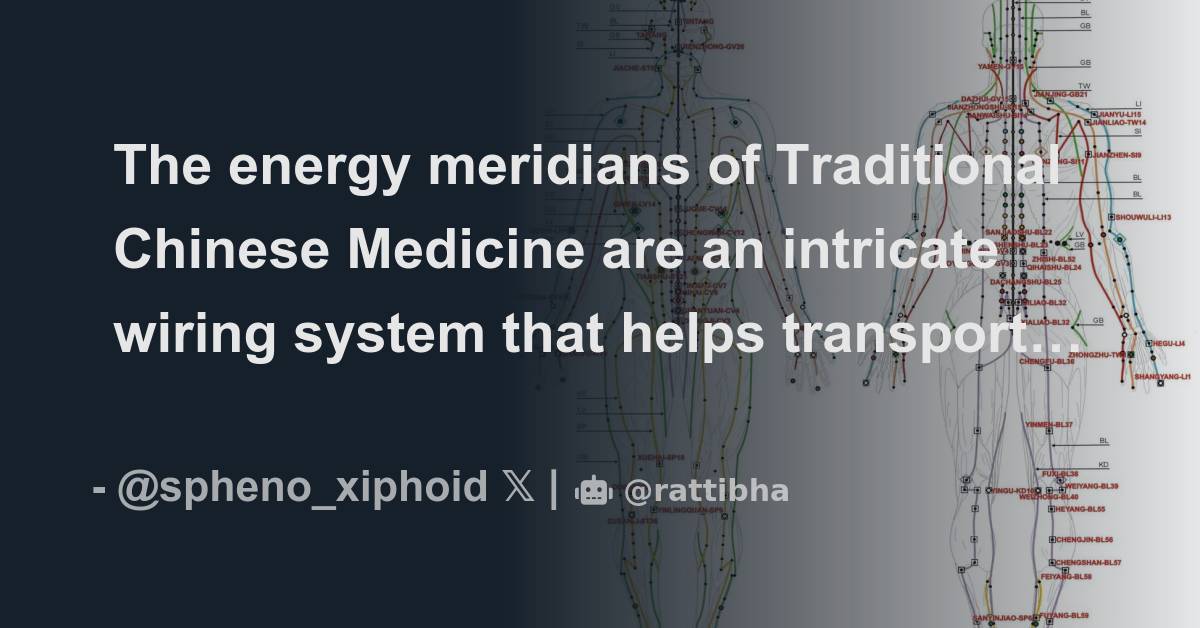 The energy meridians of Traditional Chinese Medicine are an intricate ...