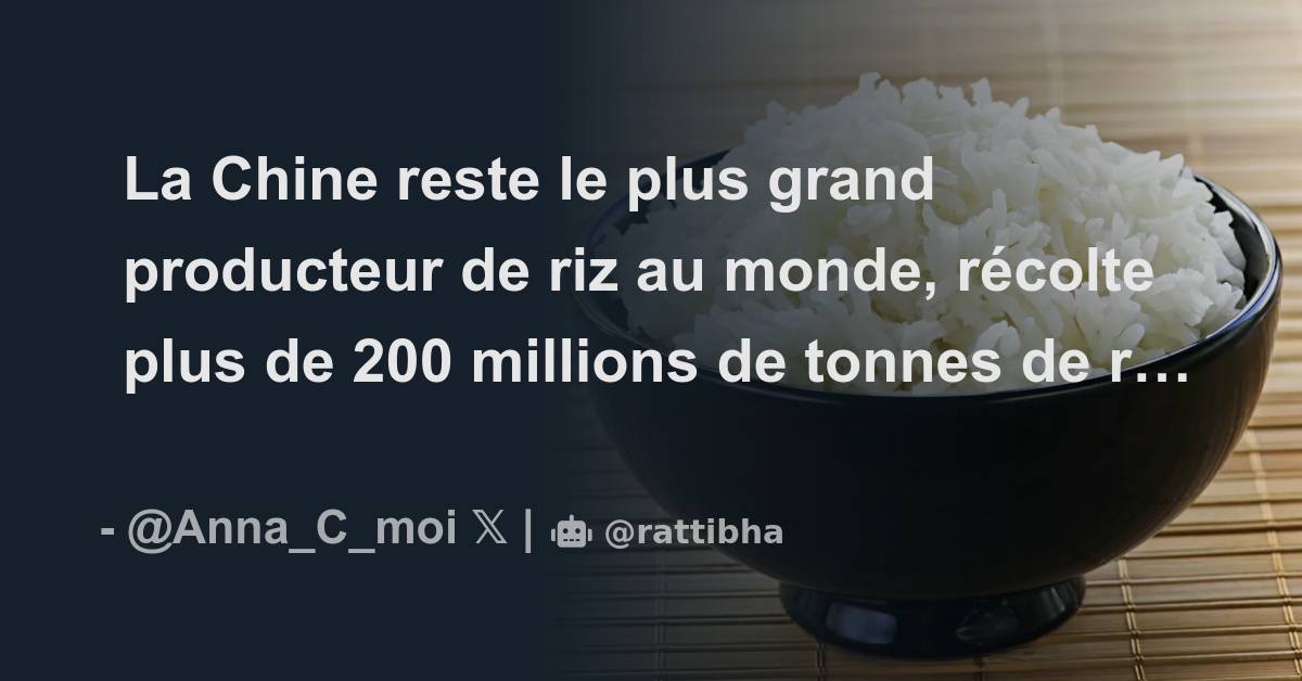 La Chine reste le plus grand producteur de riz au monde, récolte plus ...