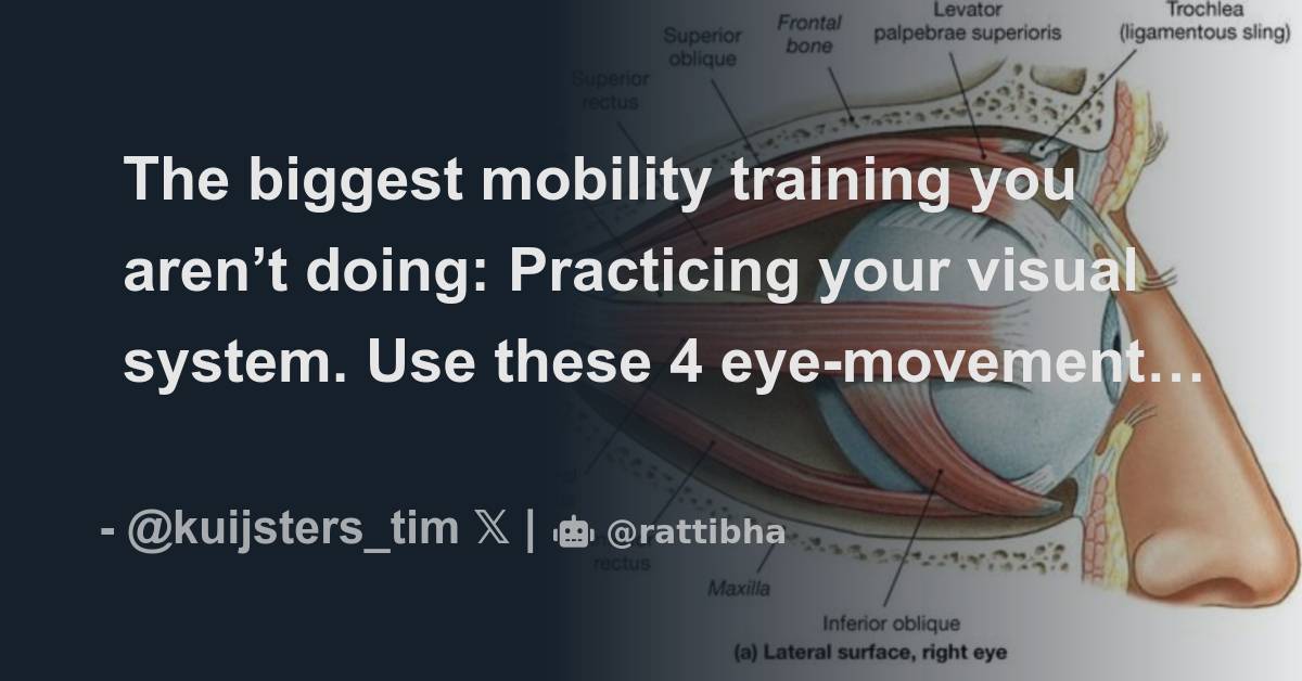 The biggest mobility training you aren’t doing: Practicing your visual ...