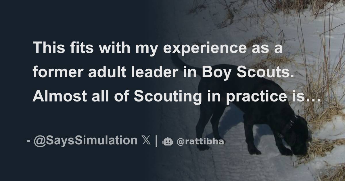This fits with my experience as a former adult leader in Boy Scouts ...