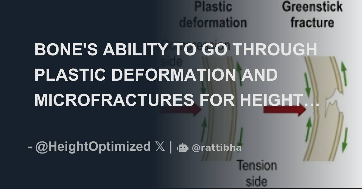 BONE'S ABILITY TO GO THROUGH PLASTIC DEFORMATION AND MICROFRACTURES FOR ...