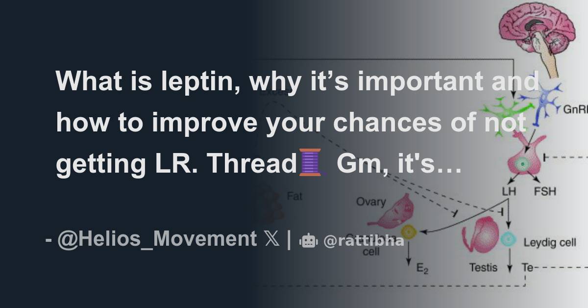 What is leptin, why it’s important and how to improve your chances of not getting LR. Thread🧵 ...